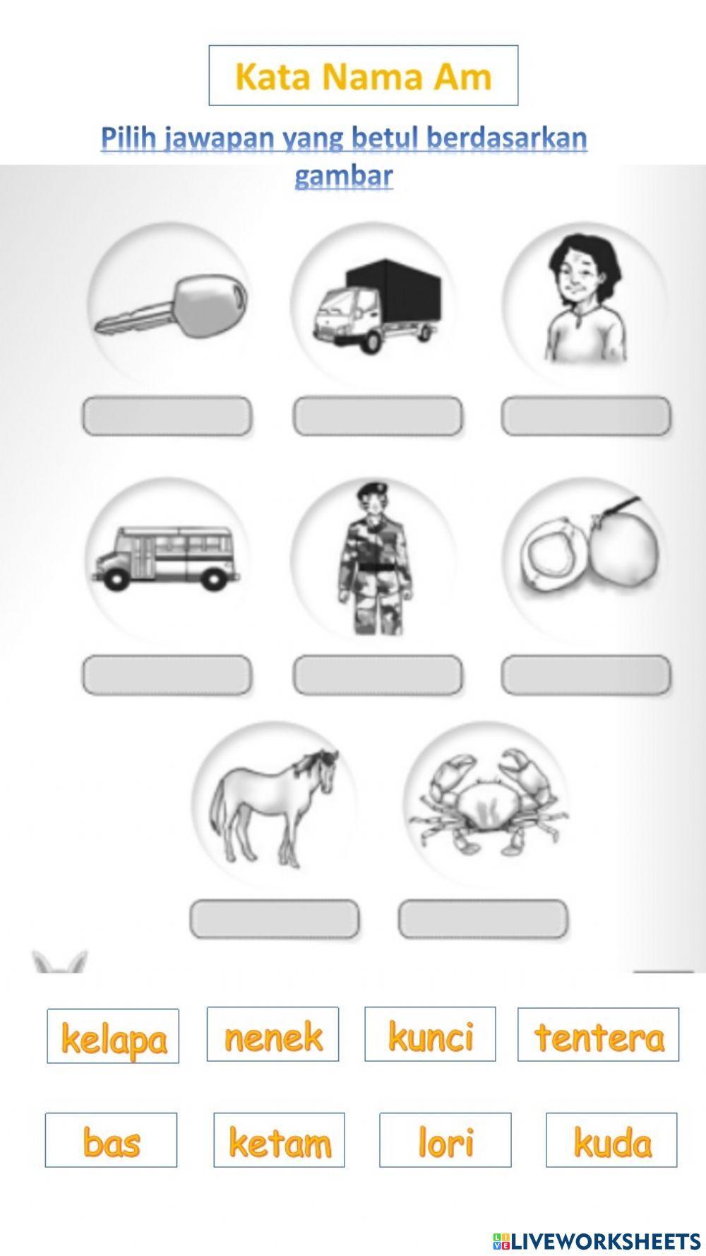 Kata Nama Am BM Tahun 1 online worksheet for TAHUN 1 | Live Worksheets