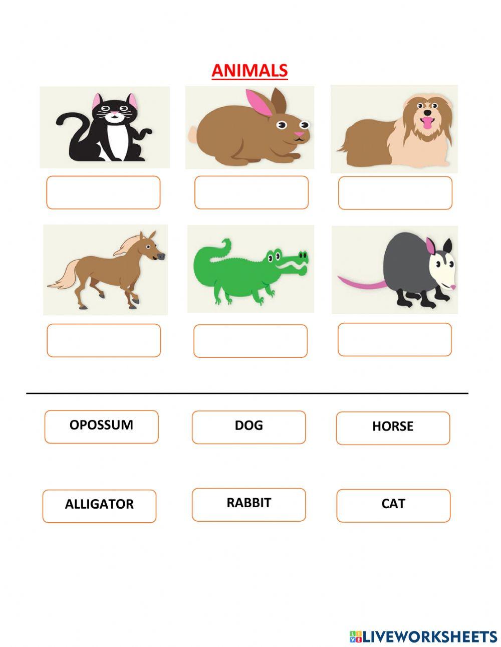 Animals online exercise for primaria | Live Worksheets