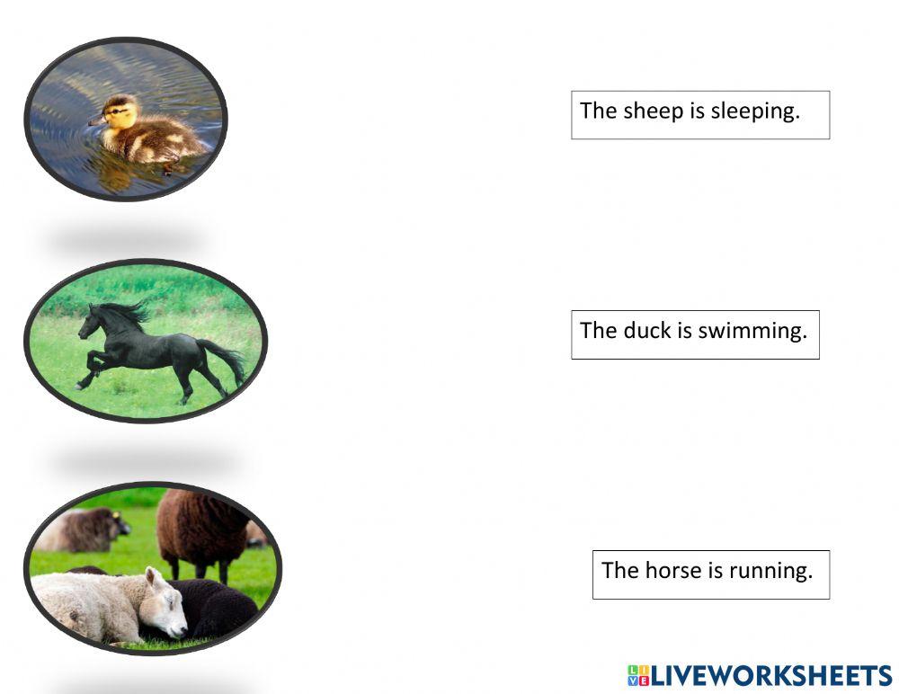 Review 5 - diagnostic week worksheet | Live Worksheets