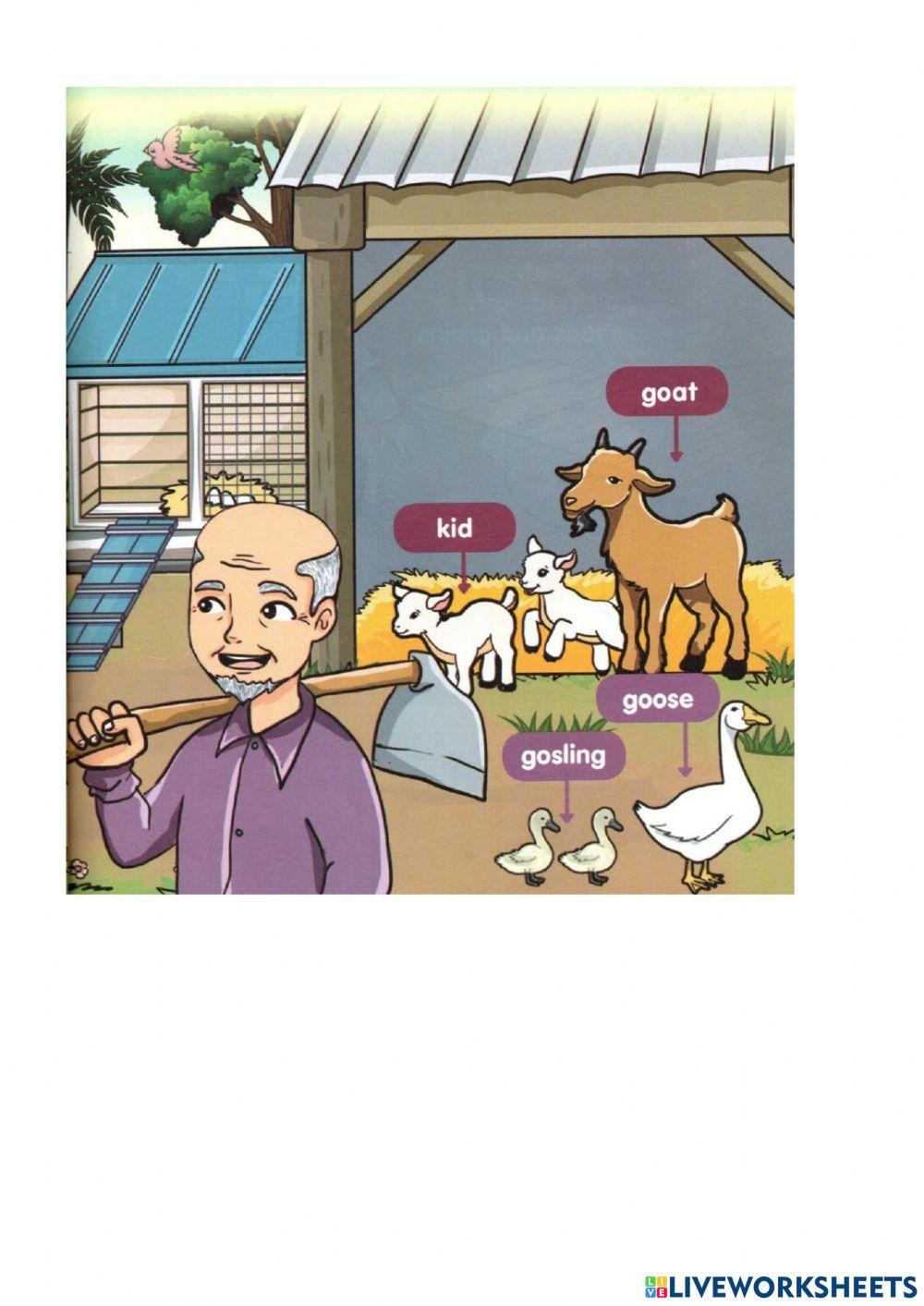 A day at the farm interactive worksheet | Live Worksheets