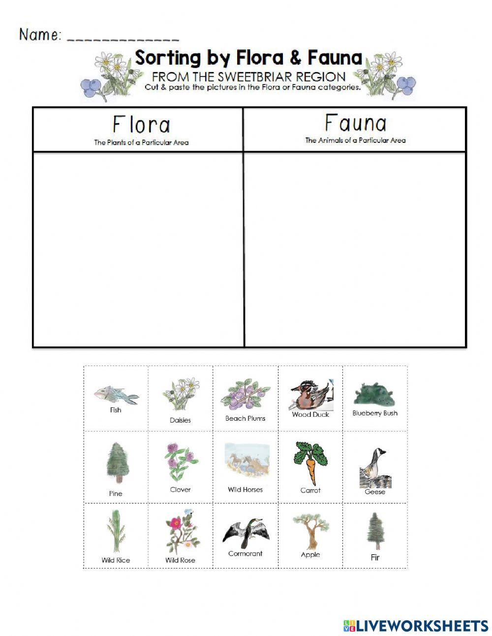 1008163 | Flora & Fauna | Diana Ayala | LiveWorksheets