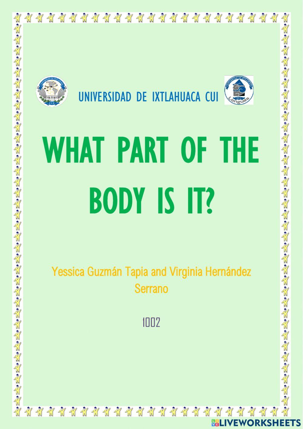 Part of the Body | Free Interactive Worksheets | 999734