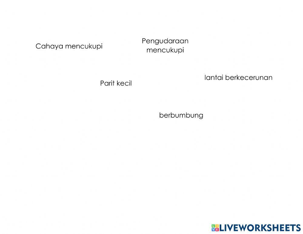 Susun Atur Ruang Premis Cuci kereta worksheet | Live Worksheets
