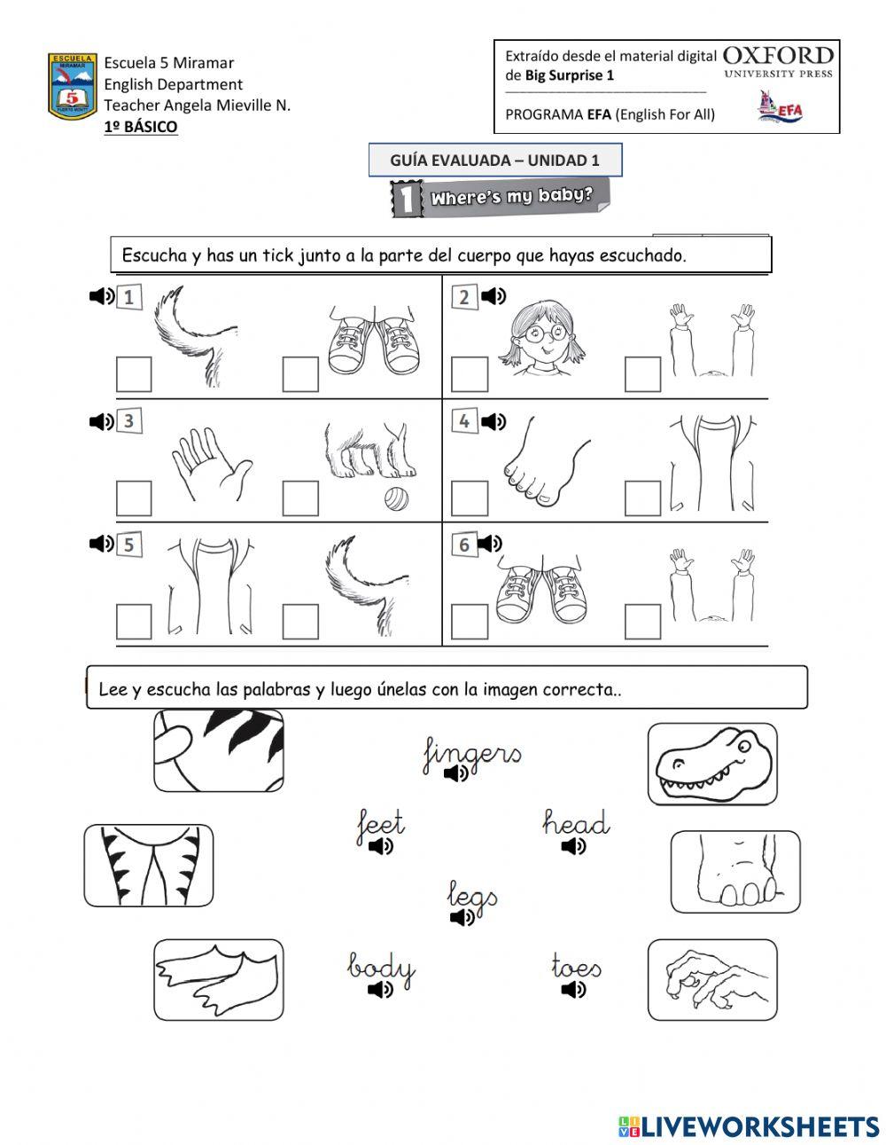 Unit 1: the body worksheet | Live Worksheets