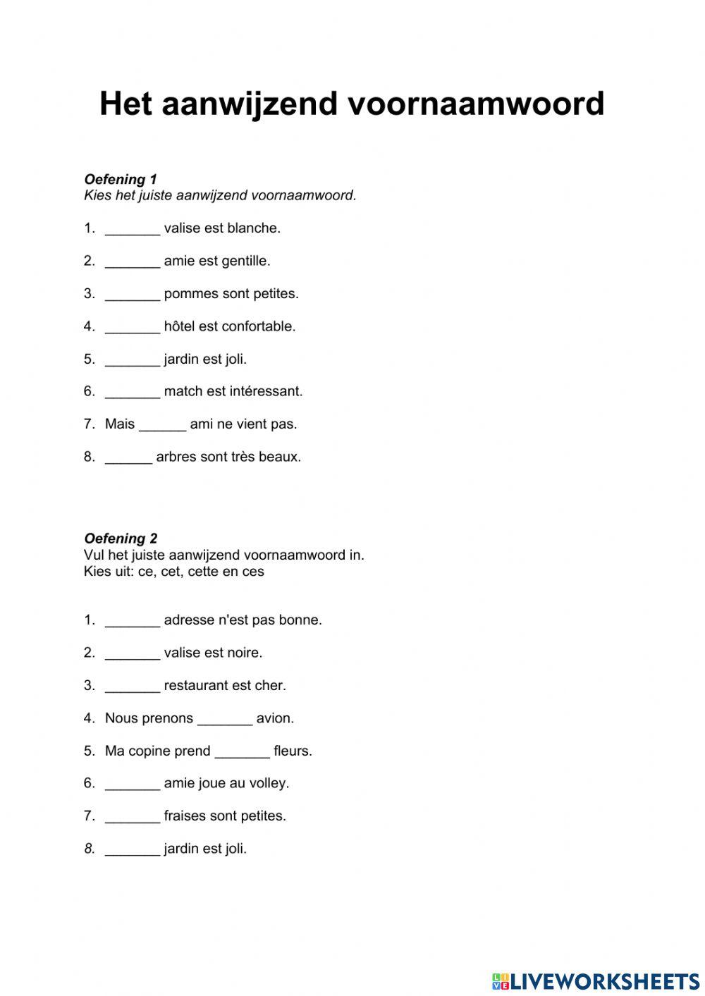 Aanwijzend voor… | Free Interactive Worksheets | 1013875