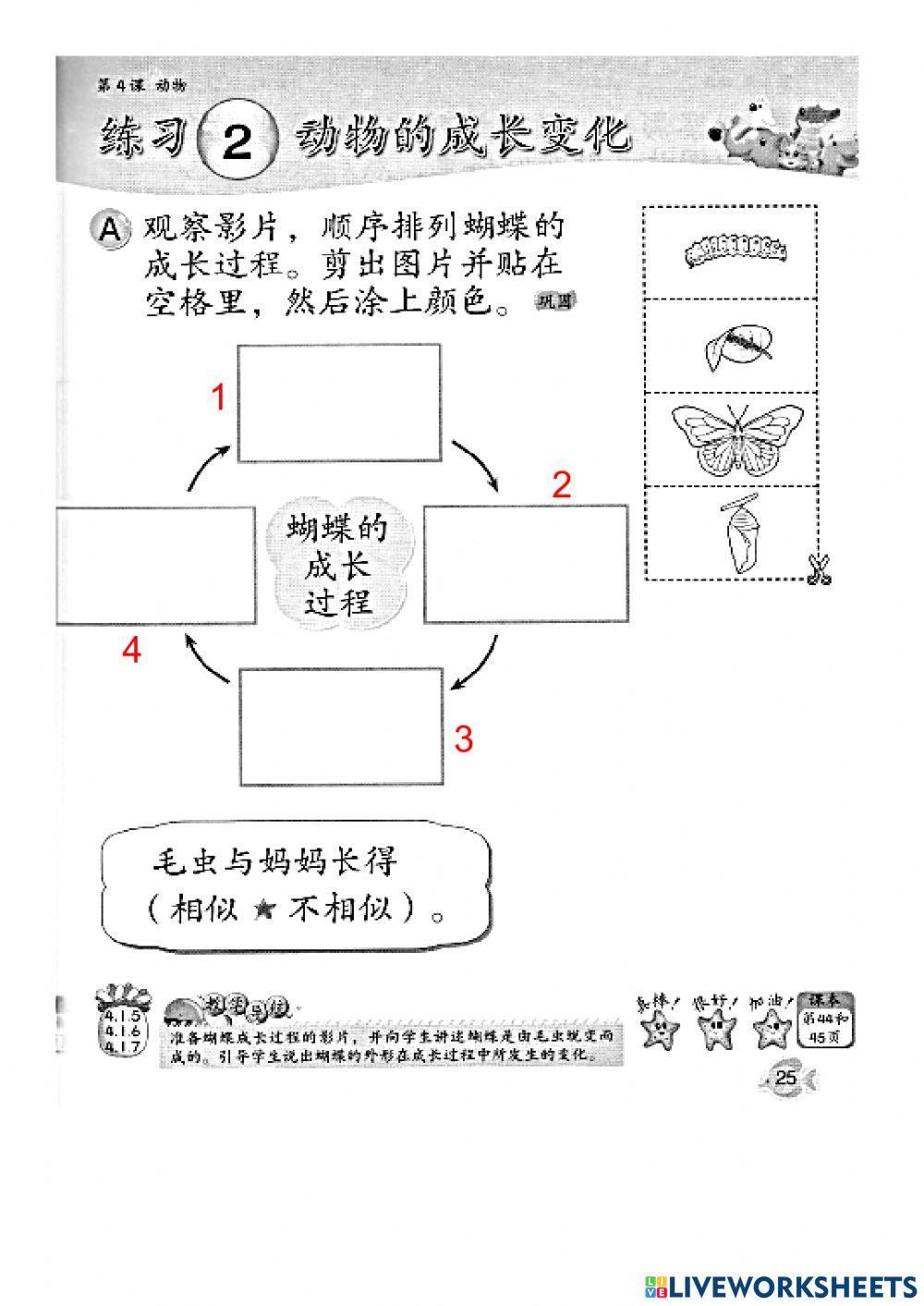 二年级科学动物的成长变化 worksheet | Live Worksheets