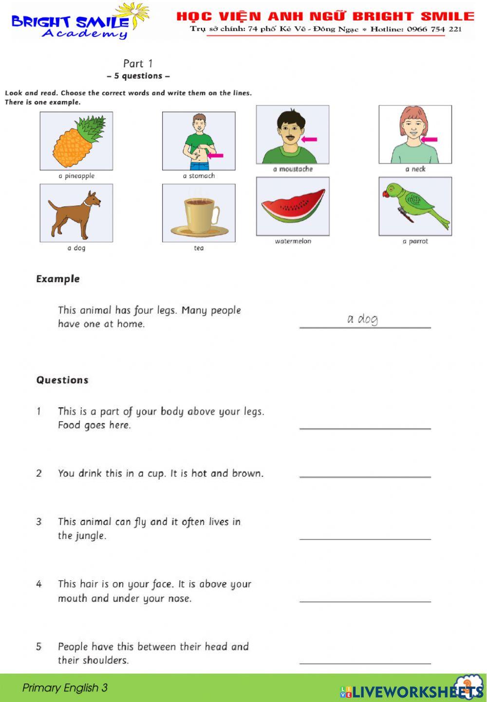 AS3- Welcome online exercise for | Live Worksheets