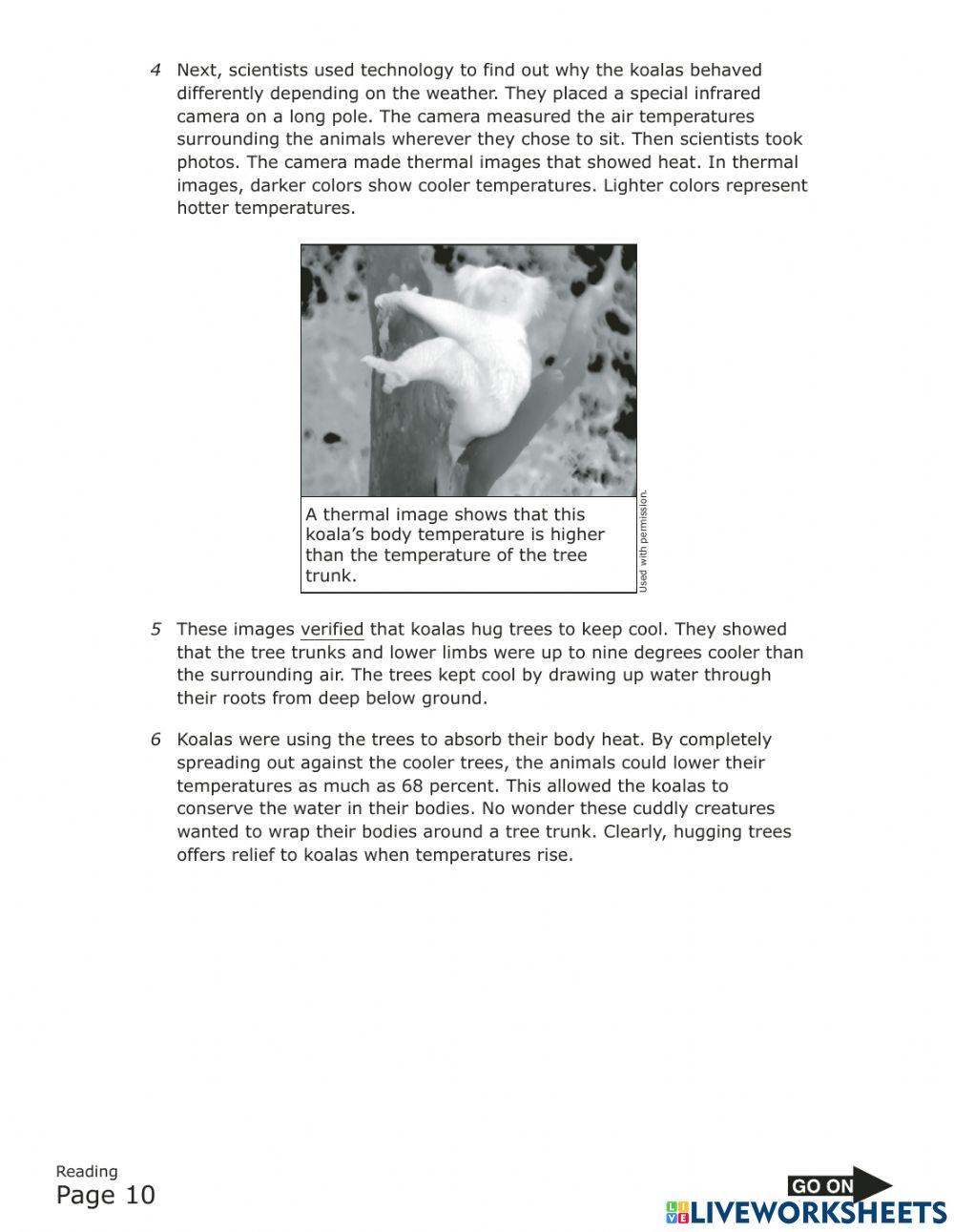 ELA Keeping Cool 1015913 | abivens | Live Worksheets