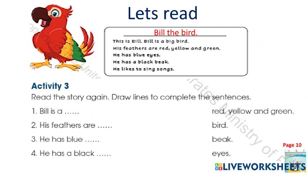 Bill the bird worksheet | Live Worksheets