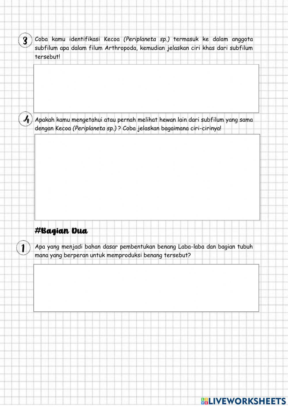 LKPD Filum Arthropoda worksheet | Live Worksheets