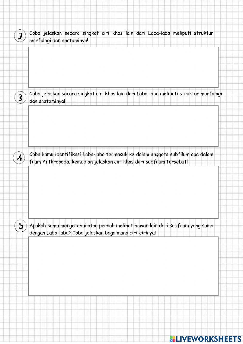 LKPD Filum Arthropoda worksheet | Live Worksheets