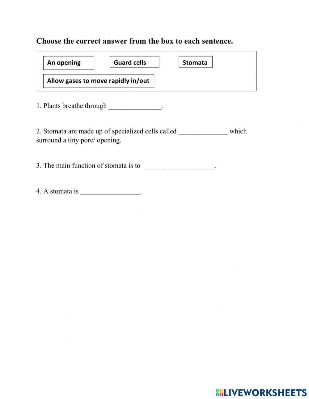 Stomata | Free Interactive Worksheets | 965085