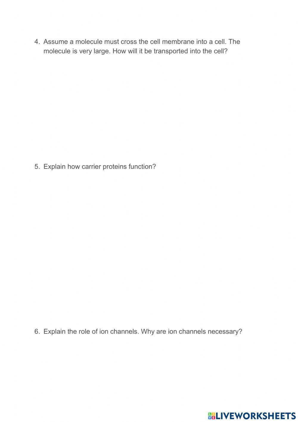 2.11 Diffusion | Free Interactive Worksheets | 965384