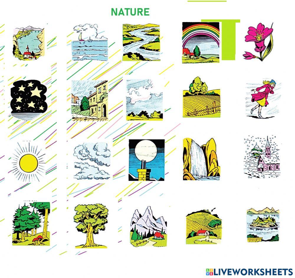 Nature online exercise for 3/4/5 | Live Worksheets