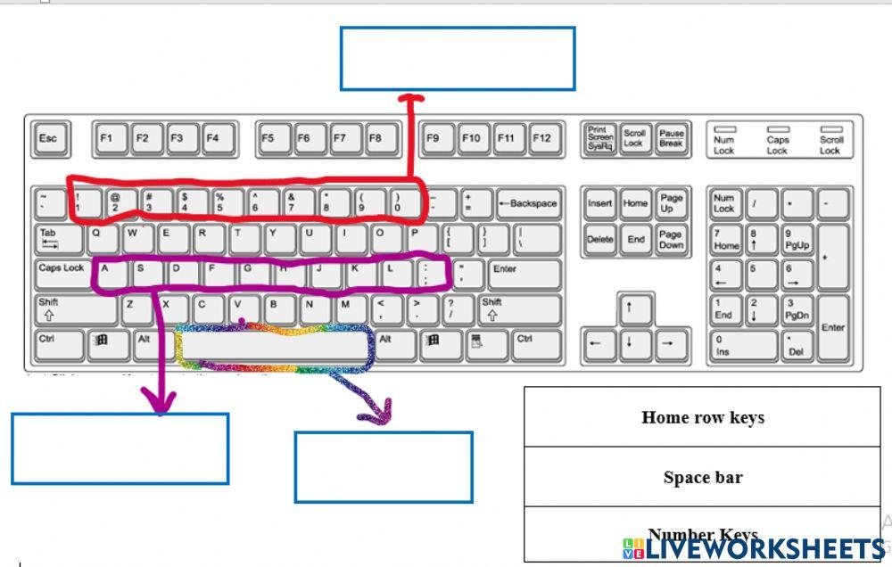 Keyboard parts 1 worksheet | Live Worksheets