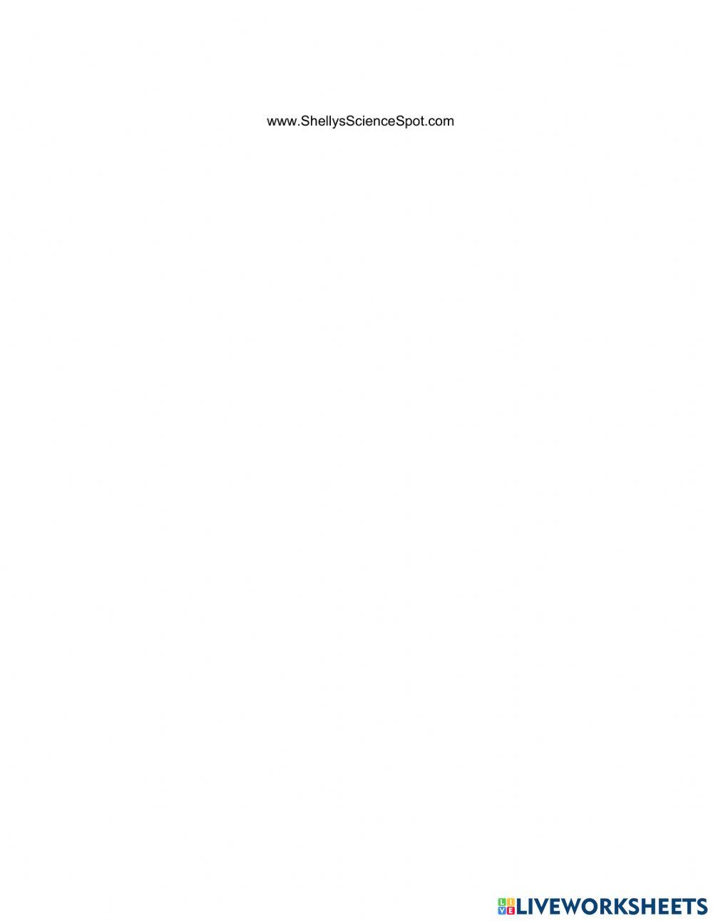 966135 | Food Web | Natalie Campbell | LiveWorksheets