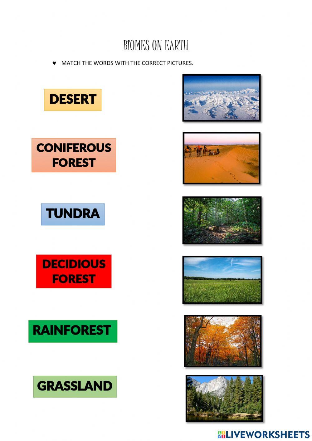 Biomes On Earth Interactive Worksheet Live Worksheets