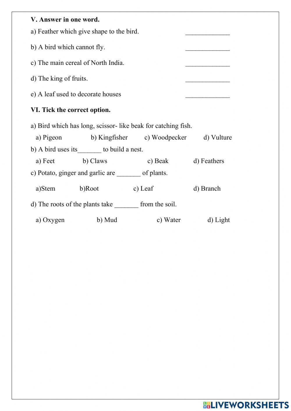 EVS Worksheet | Free Interactive Worksheets | 1018108