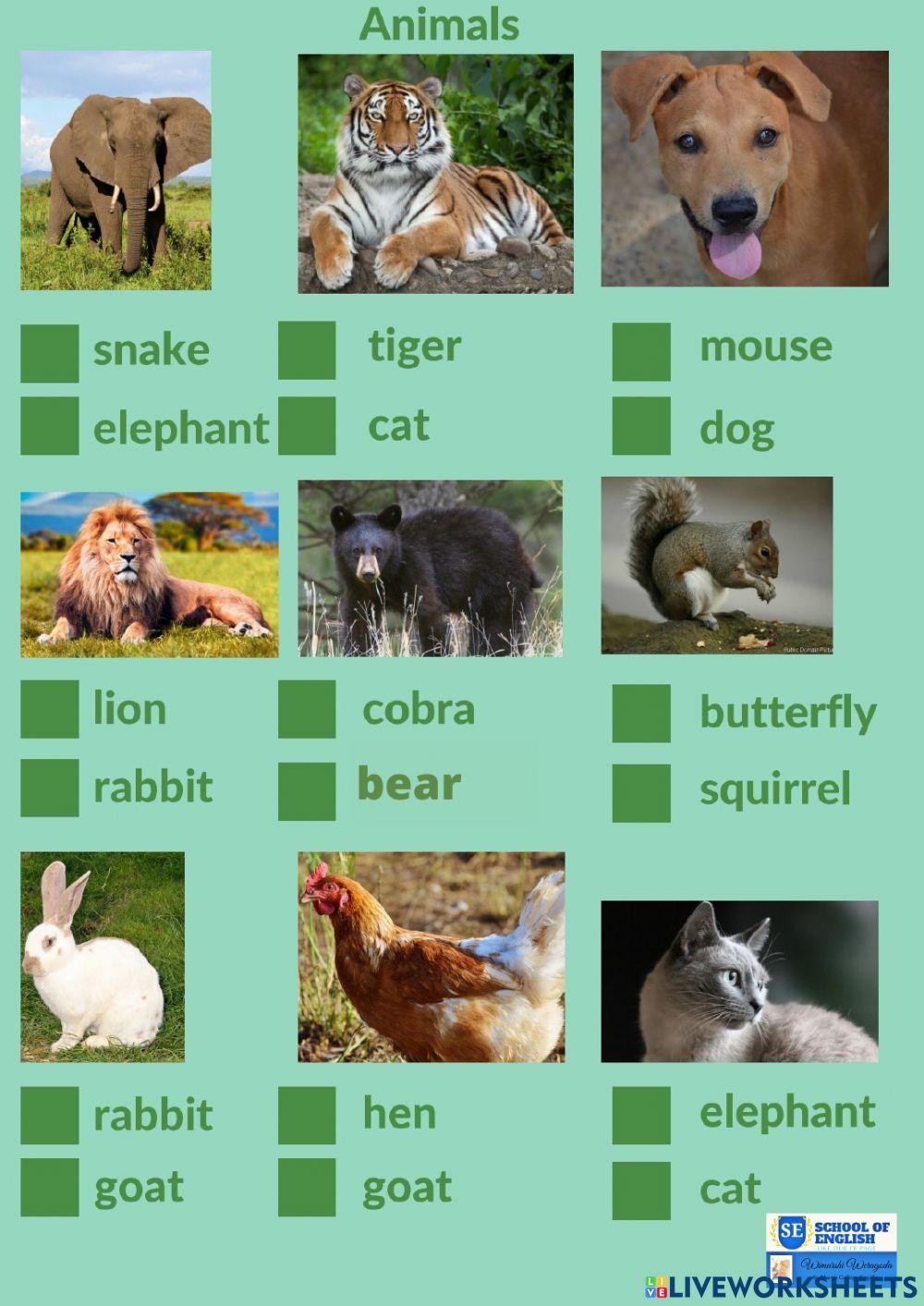 Animals online exercise for Primary | Live Worksheets