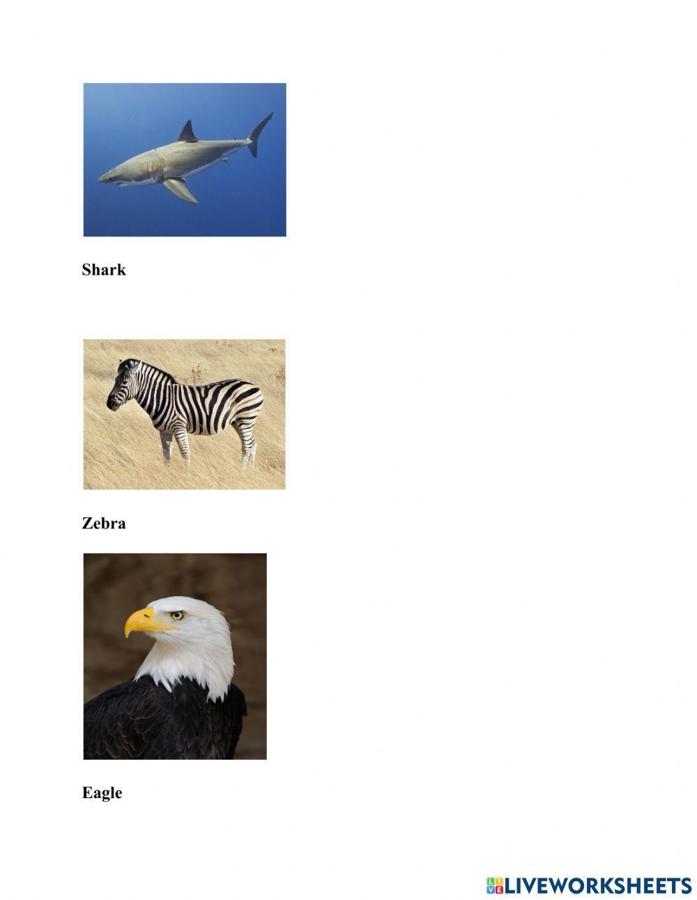 Predators | Free Interactive Worksheets | 1017998