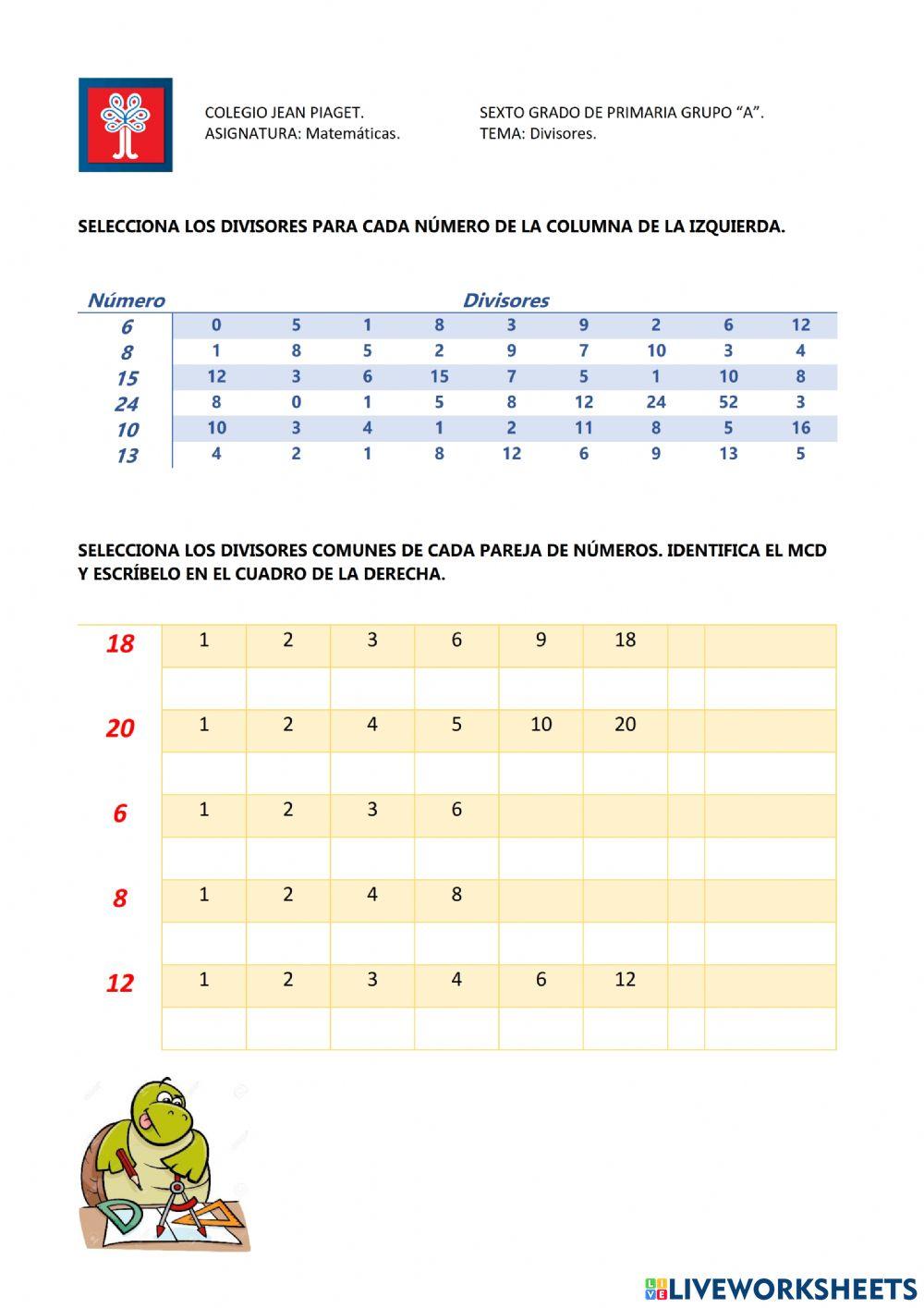 Divisores MAtemá exercise | Live Worksheets
