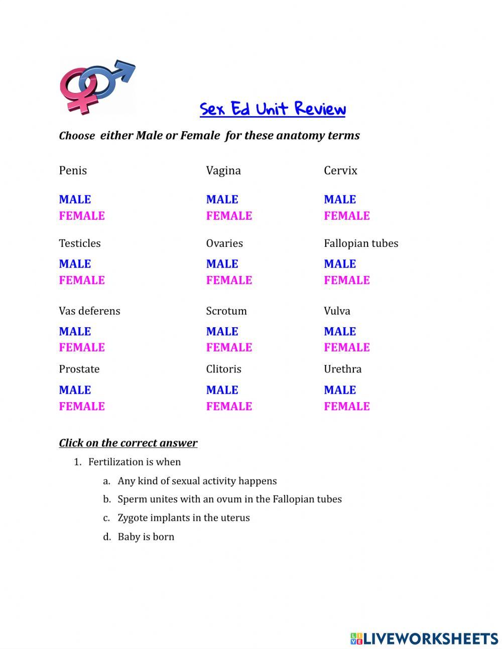 Sex Ed Online Exercise For Live Worksheets