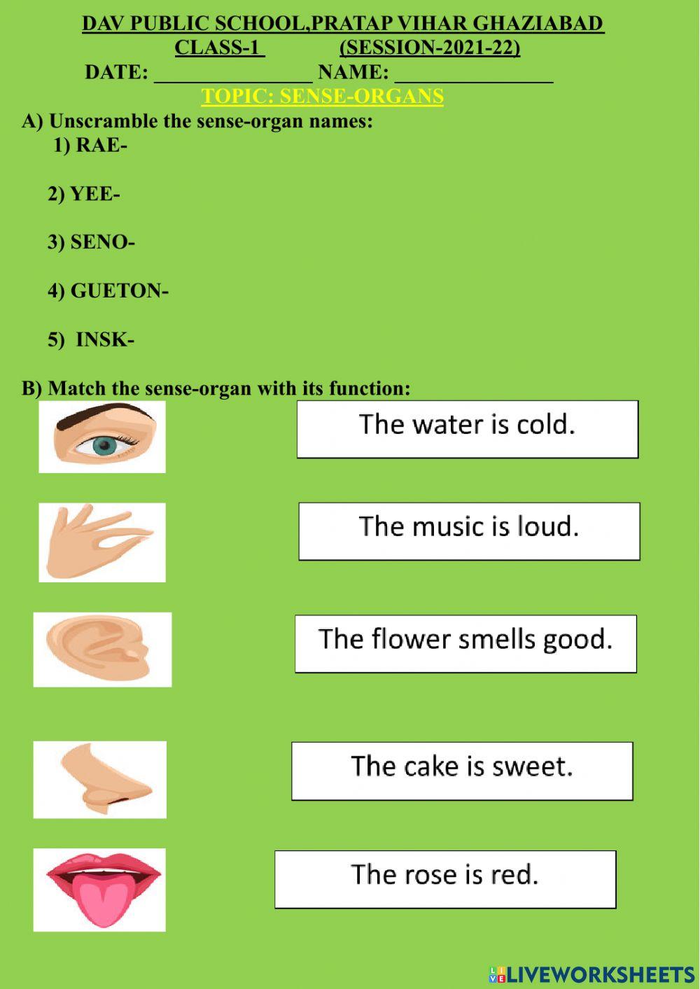 Sense organs Online Activity Live Worksheets sense-organs-online-activity-live-worksheets