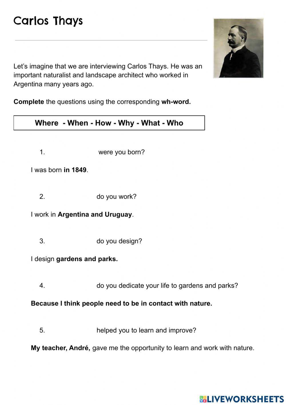 Wh questions online exercise for 3rd grade | Live Worksheets