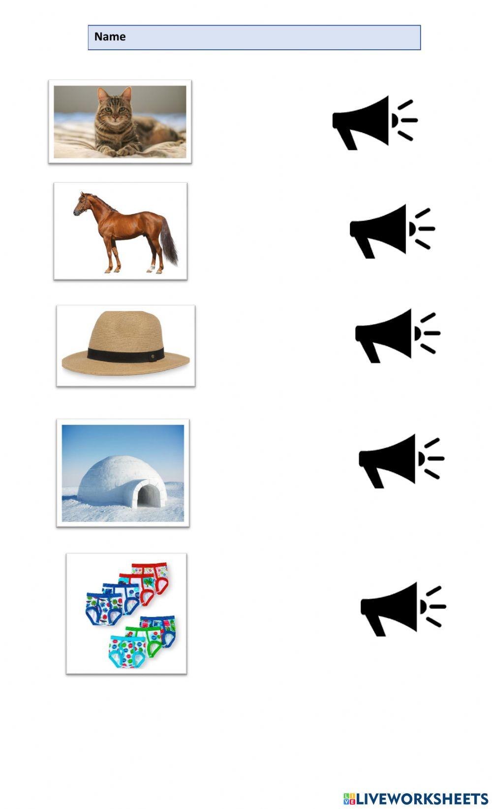 Vocabulary for letters C,H,I,U worksheet | Live Worksheets