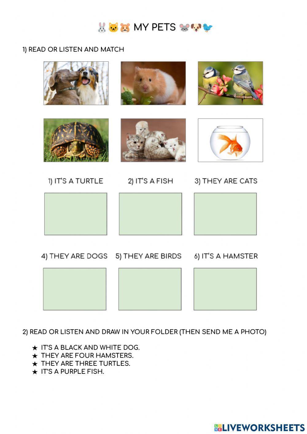 My pets 1021945 | Giselle | Live Worksheets