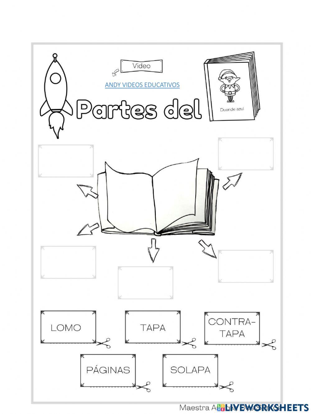 Partes del libro | Free Interactive Worksheets | 1023131