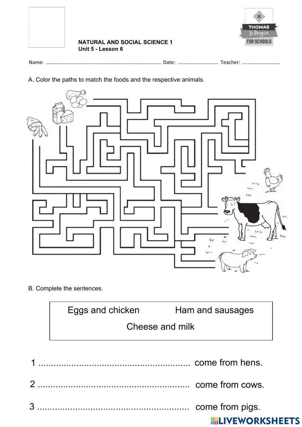 Food origin online exercise for | Live Worksheets