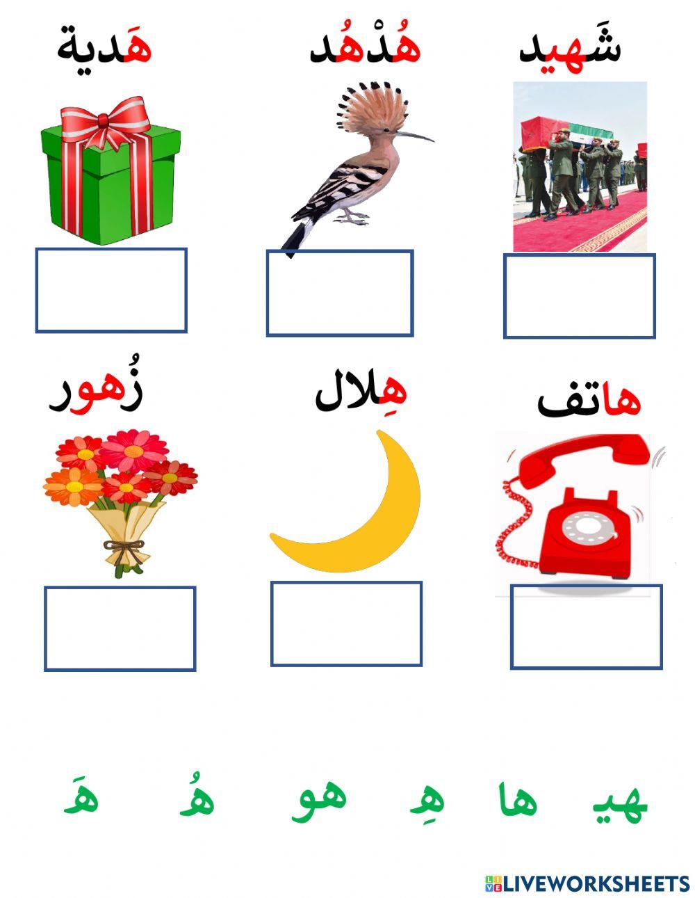 حرف الهاء Online Pdf Exercise Live Worksheets