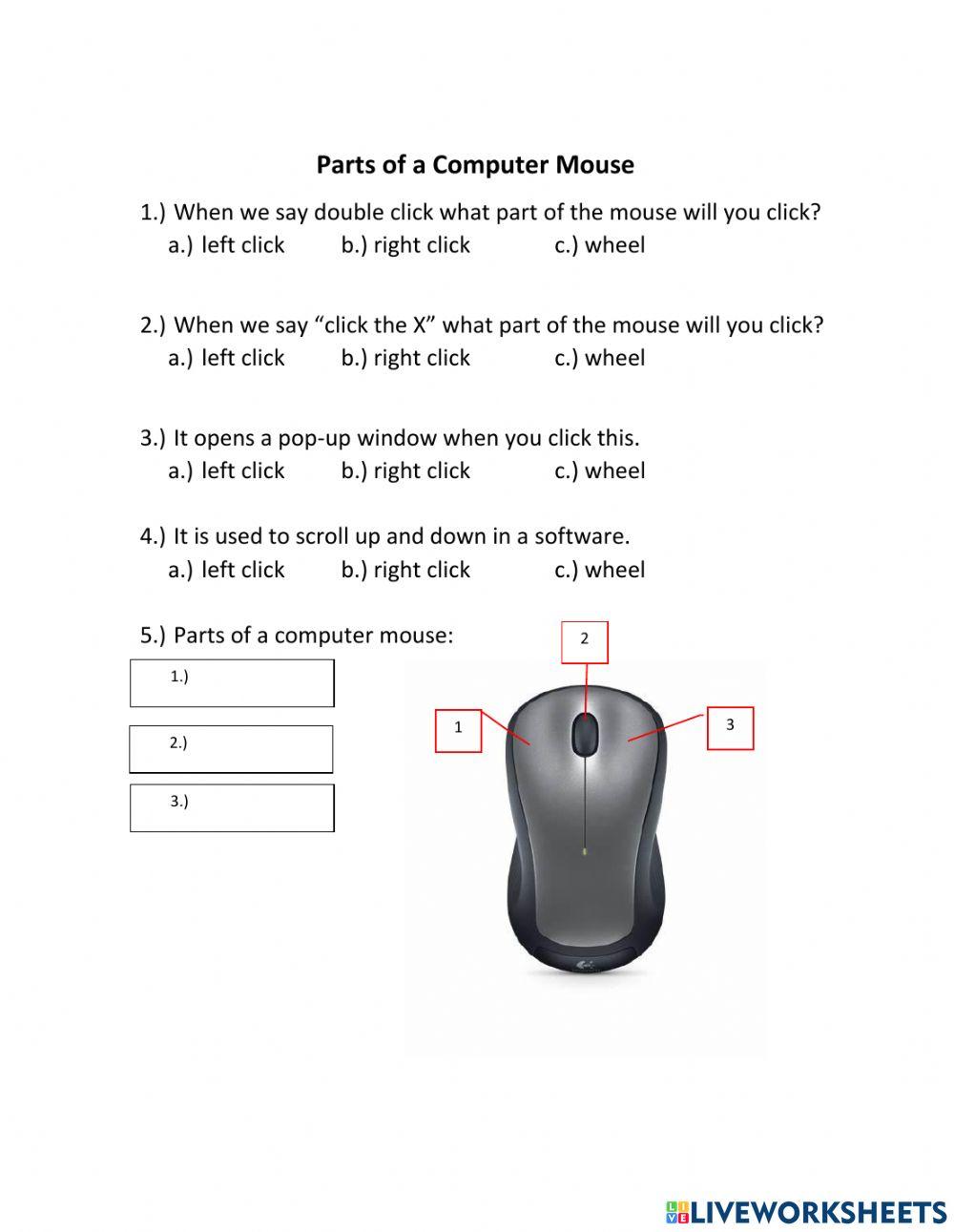 Computer Mouse Parts