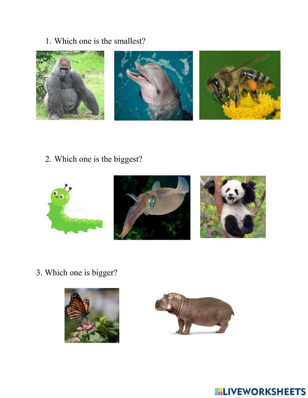 Animals online exercise for pre intermediately | Live Worksheets