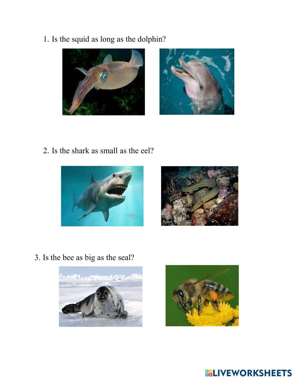 Animals online exercise for pre intermediate | Live Worksheets