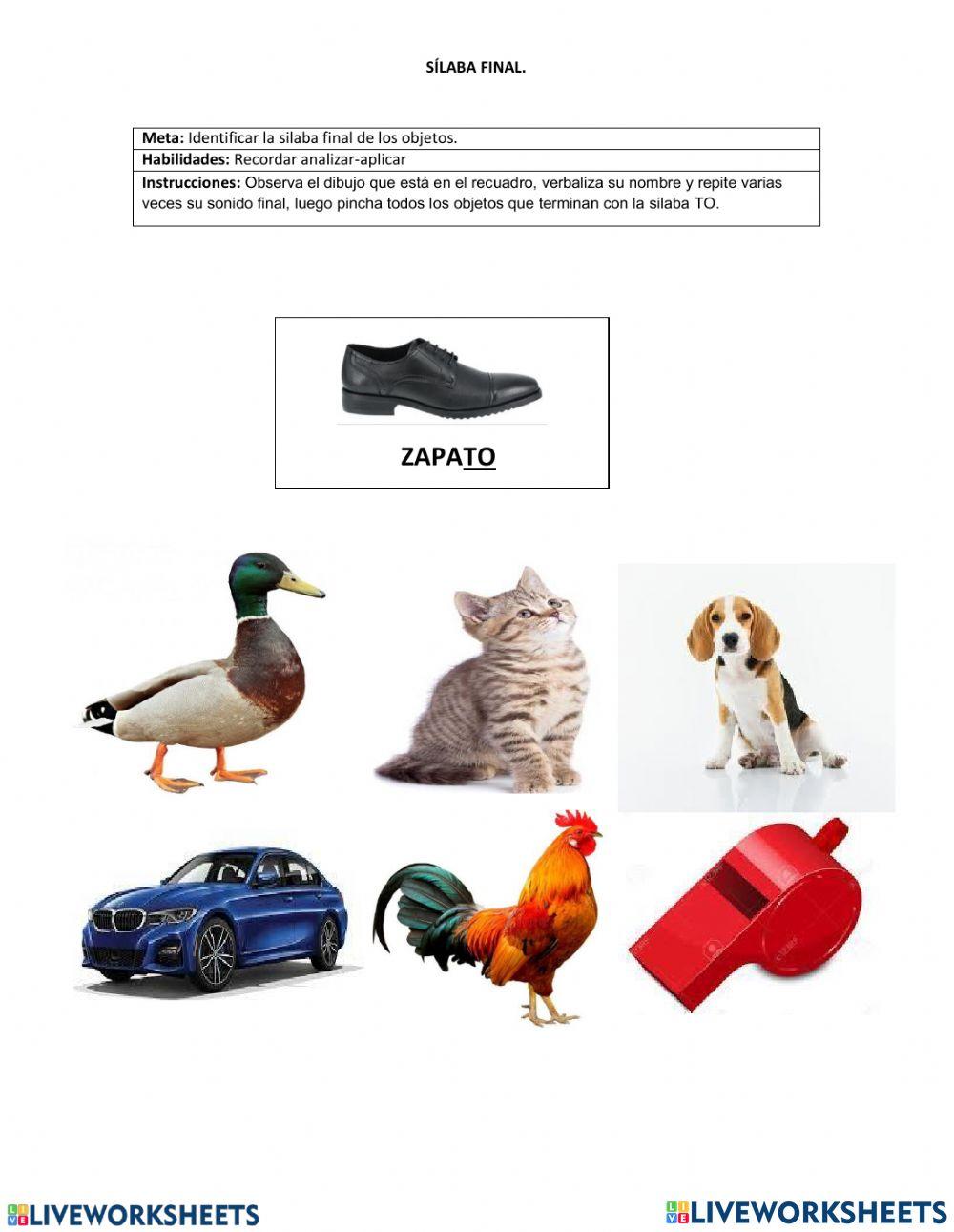 Silaba final activity for primaria | Live Worksheets