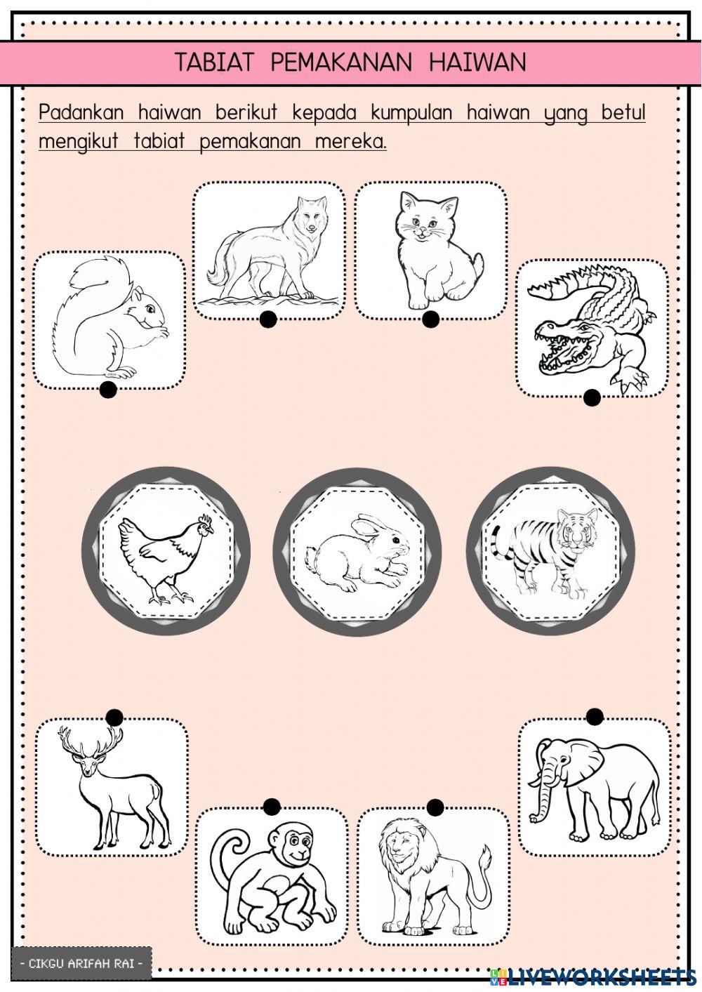 TABIAT PEMAKANAN HAIWAN 1029449 | ARIFAH | Live