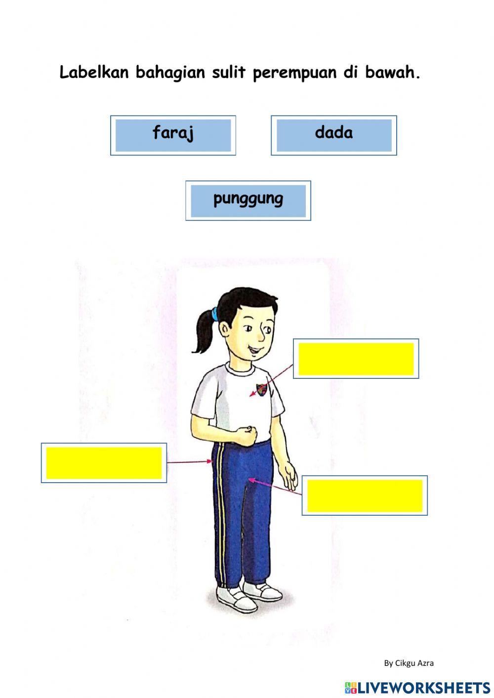 Bahagian sulit perempuan worksheet | Live Worksheets