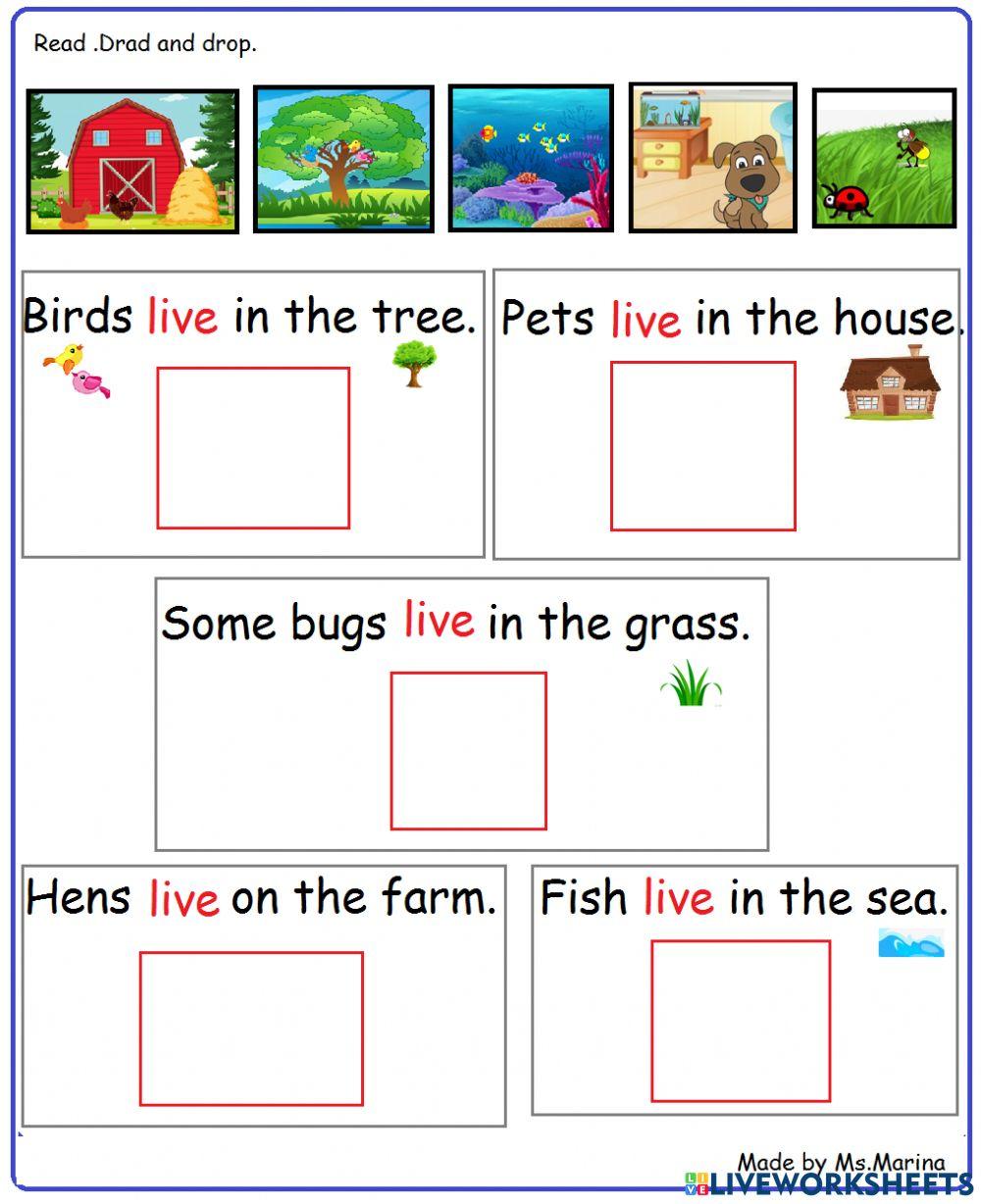 Sight word:live(listen) worksheet | Live Worksheets