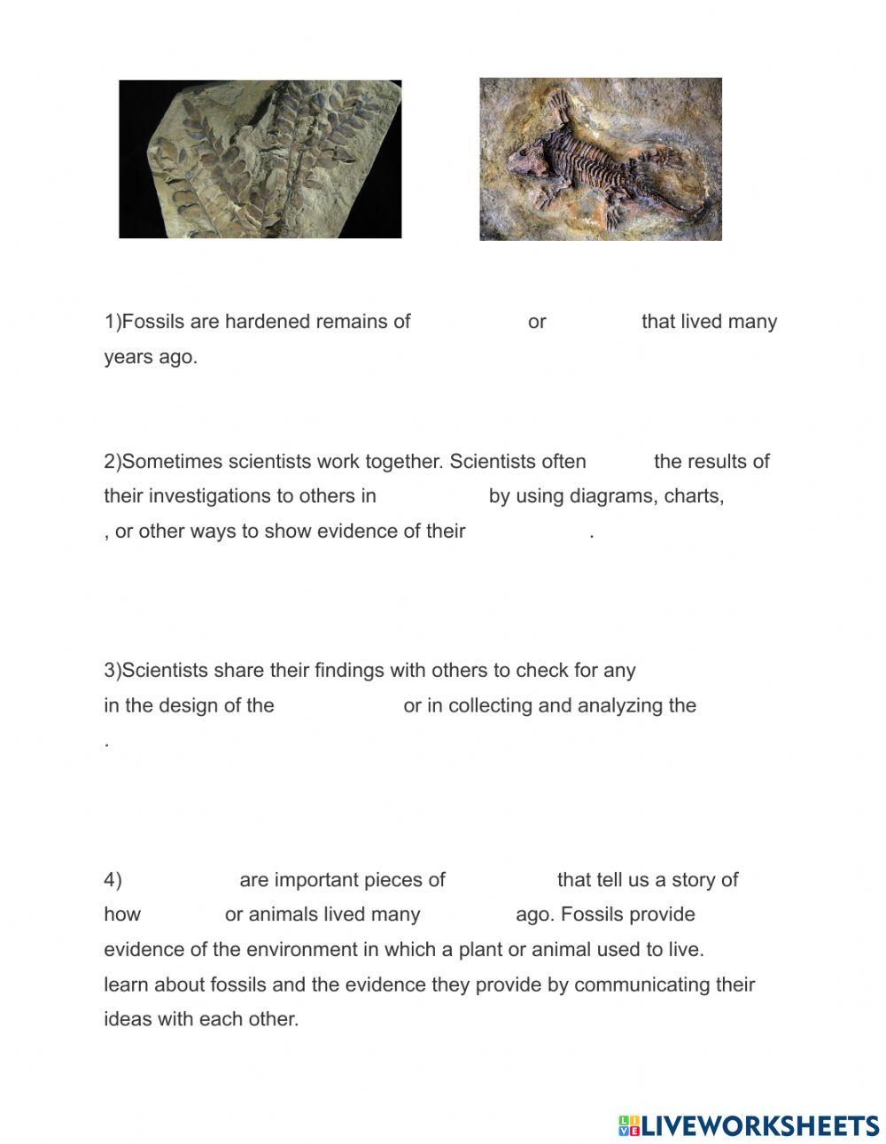 Fossils online exercise for | Live Worksheets