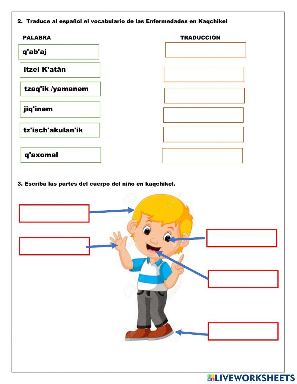 Partes Del Cuerpo En Kaqchikel Worksheet Live Worksheets, 58% OFF Partes Del Cuerpo En Kaqchikel Worksheet Live Worksheets, 58% OFF
