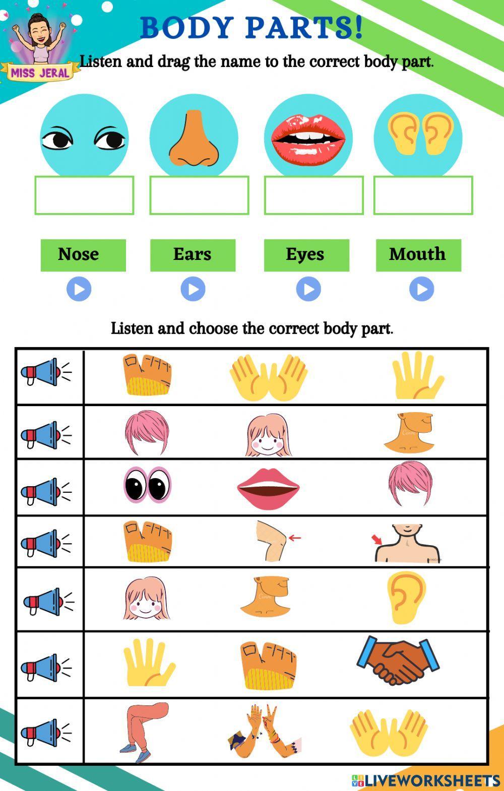 1034308 | Body Parts 1 | missjeral | LiveWorksheets