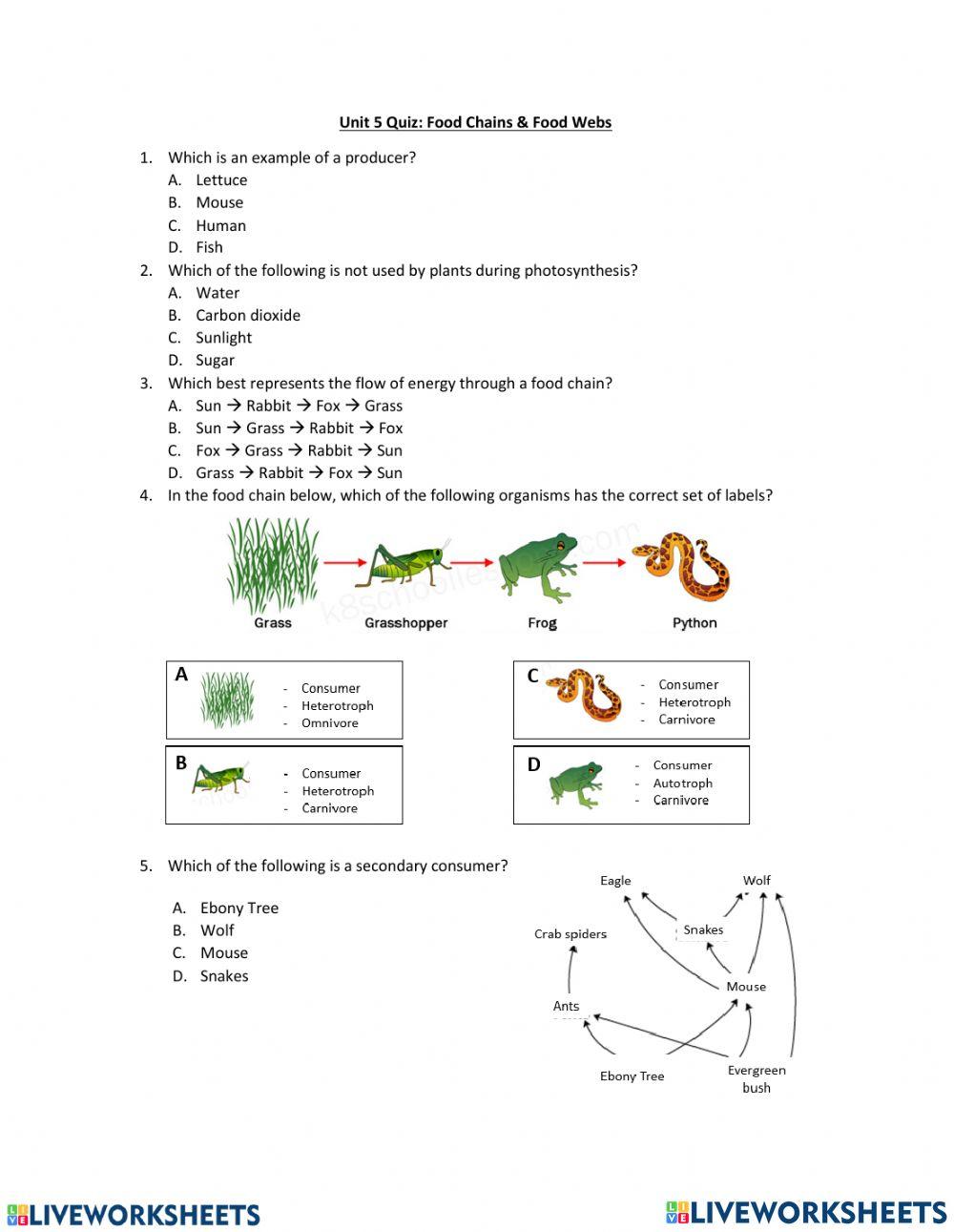 Food Webs Trophic Levels 3045903 Denise Facione food-webs-trophic-levels-3045903-denise-facione