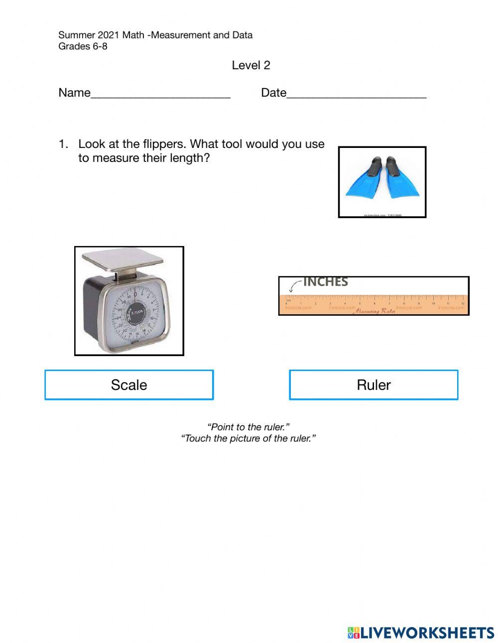 Measurement Assessment Level 2 1036705 | irina marra