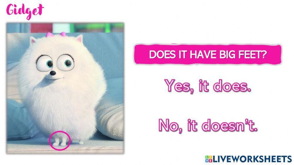 1037101 | Does it have...? | Miss Daiana