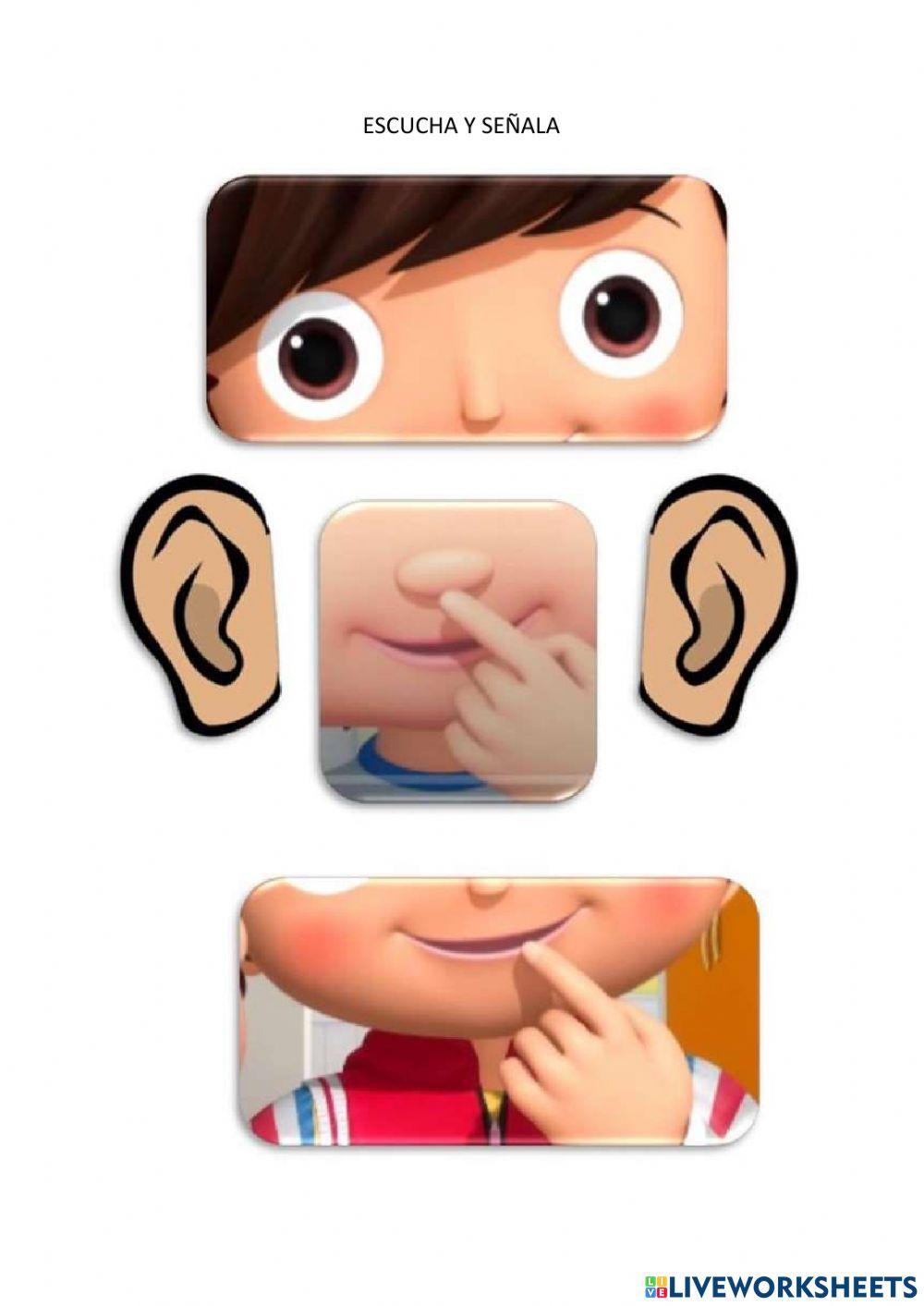 Partes de mi cara worksheet | Live Worksheets