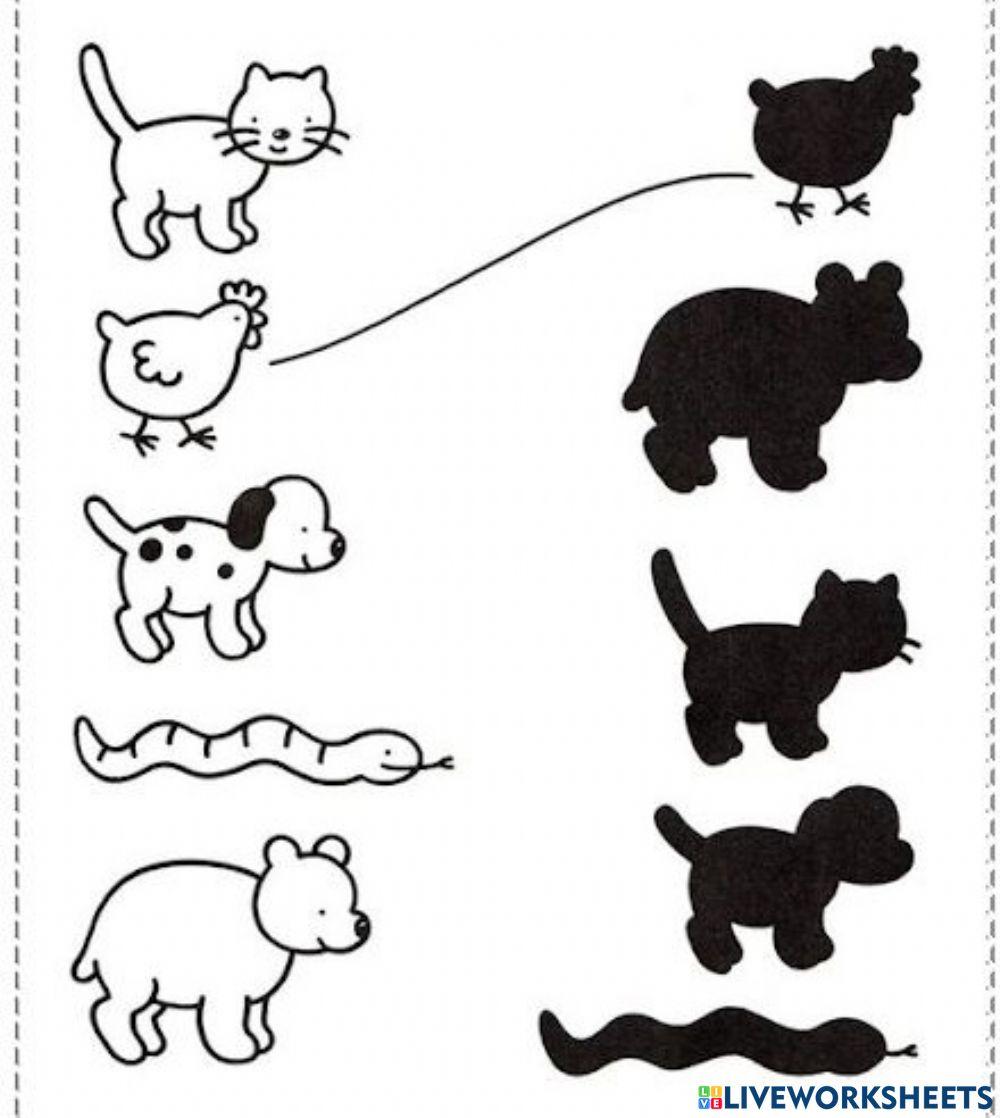 Bayangan worksheet | Live Worksheets