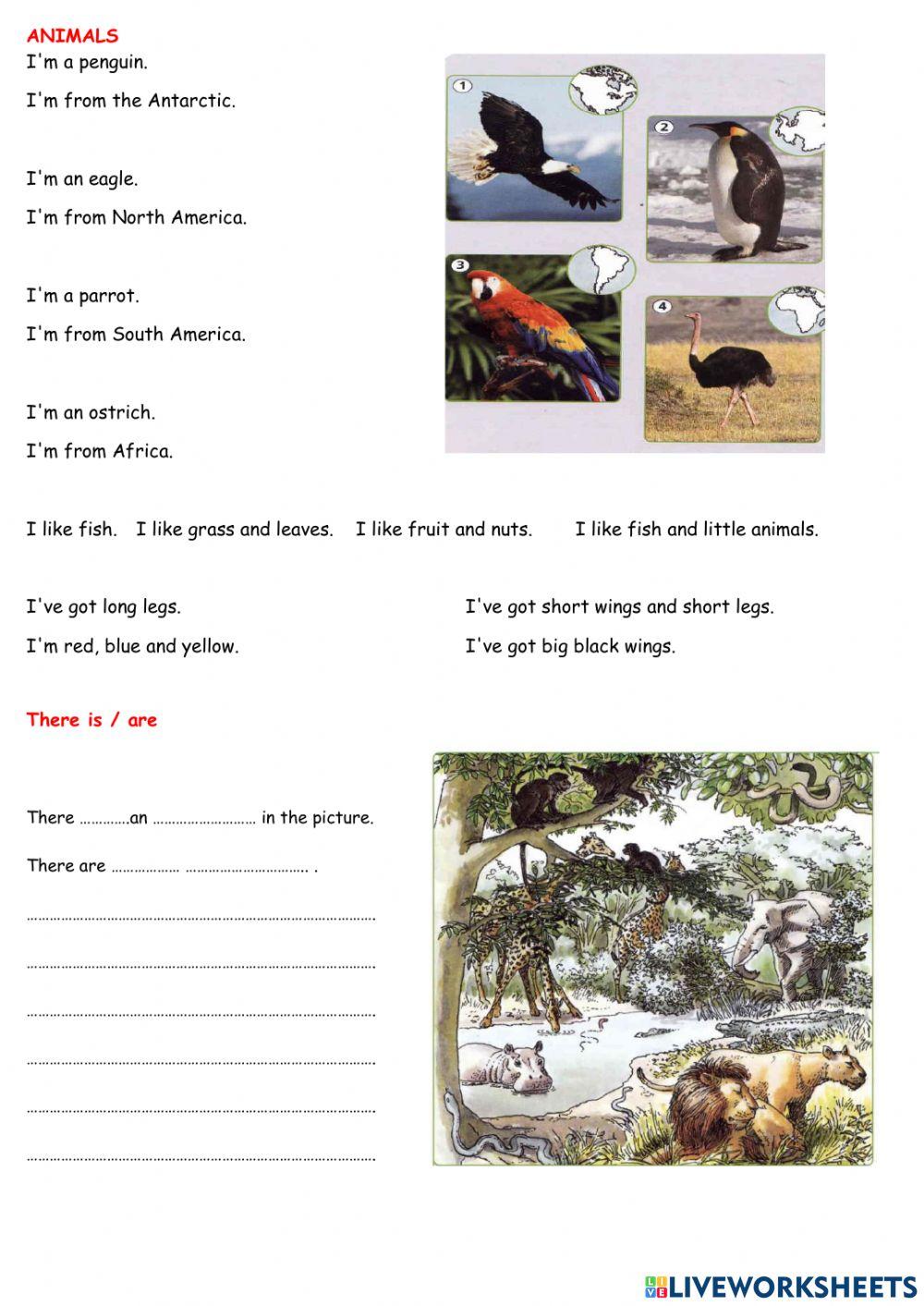 Chit chat 1Animals worksheet | Live Worksheets