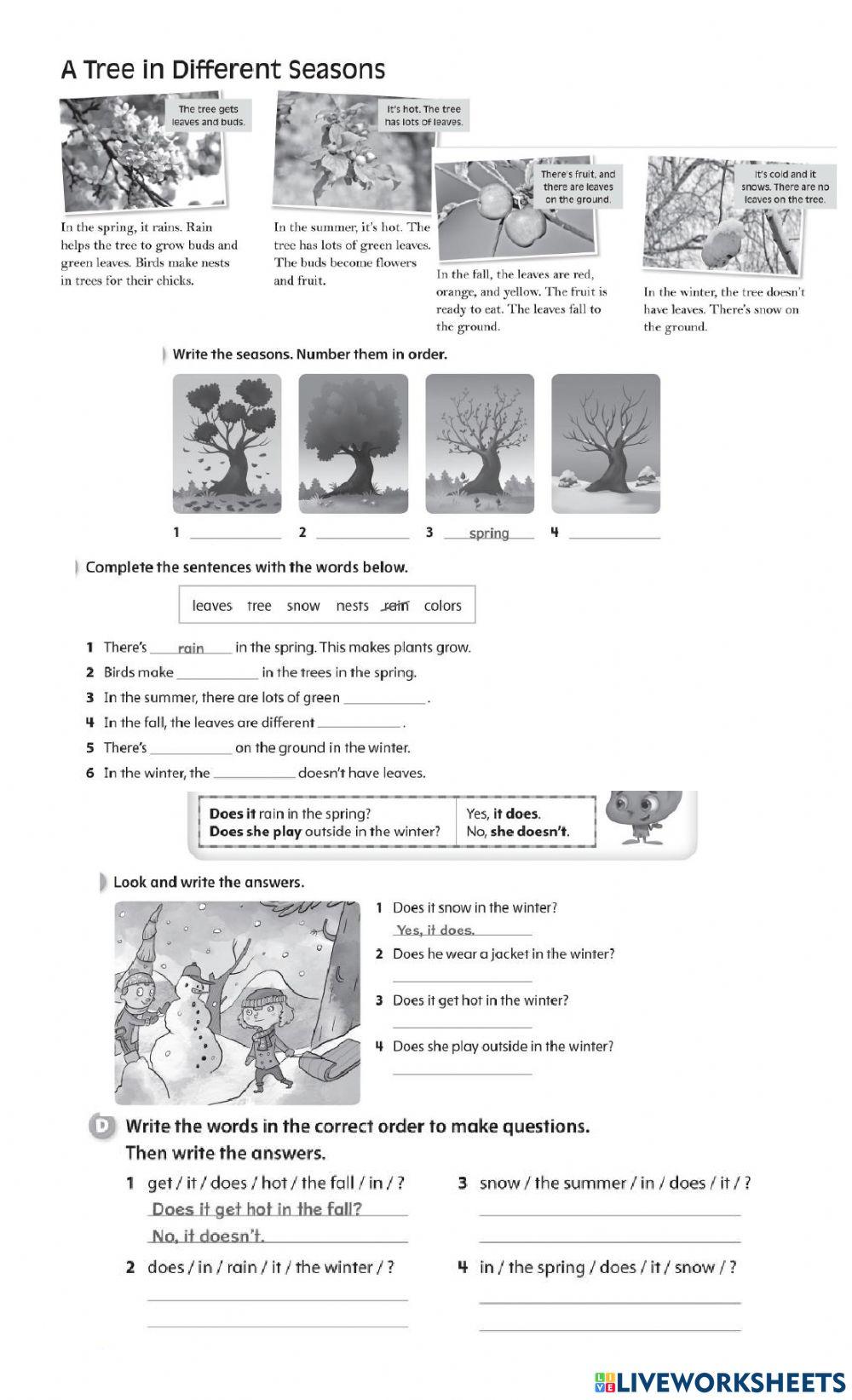 A tree in different seasons worksheet | Live Worksheets